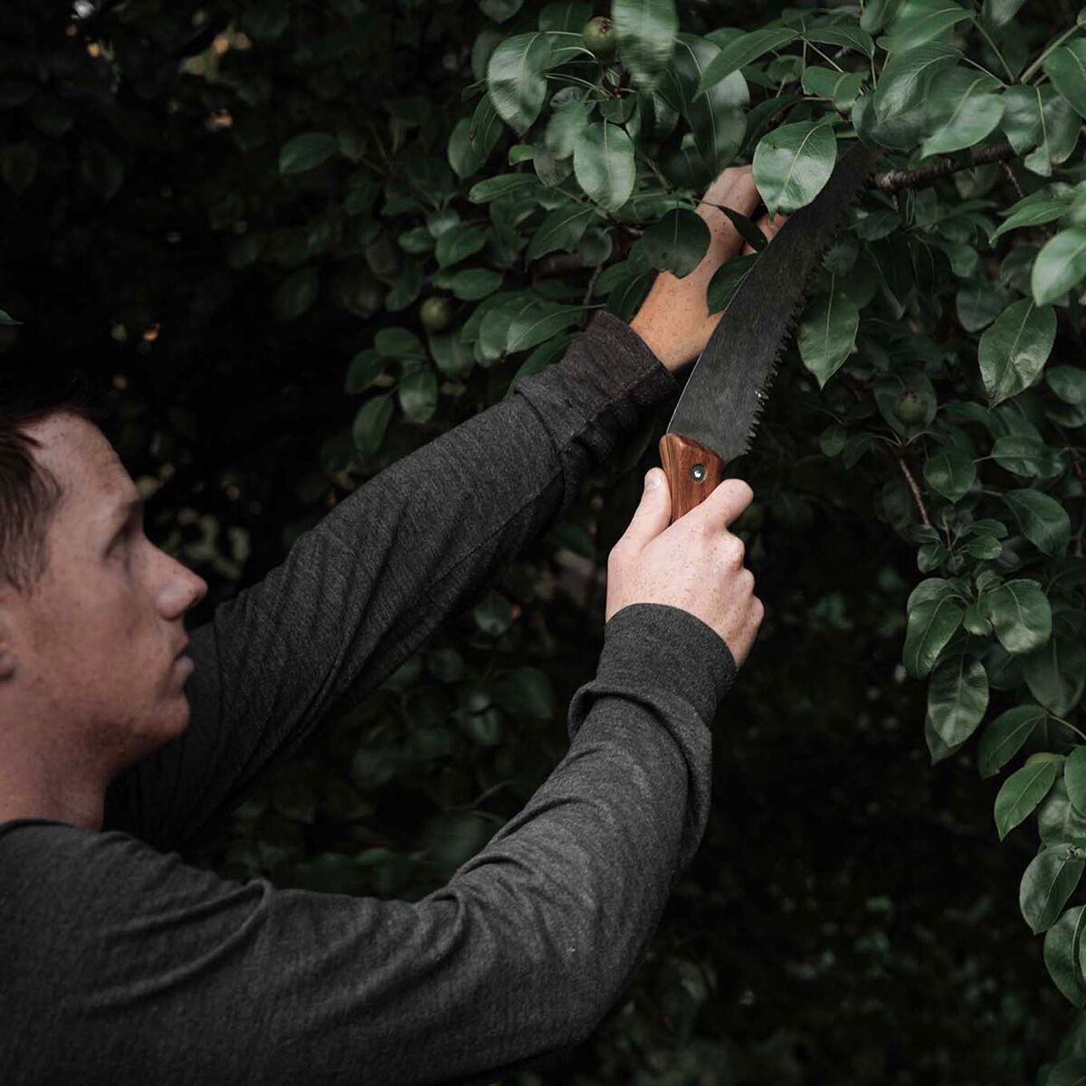 Barebones Timber Saw - Hike & Camp