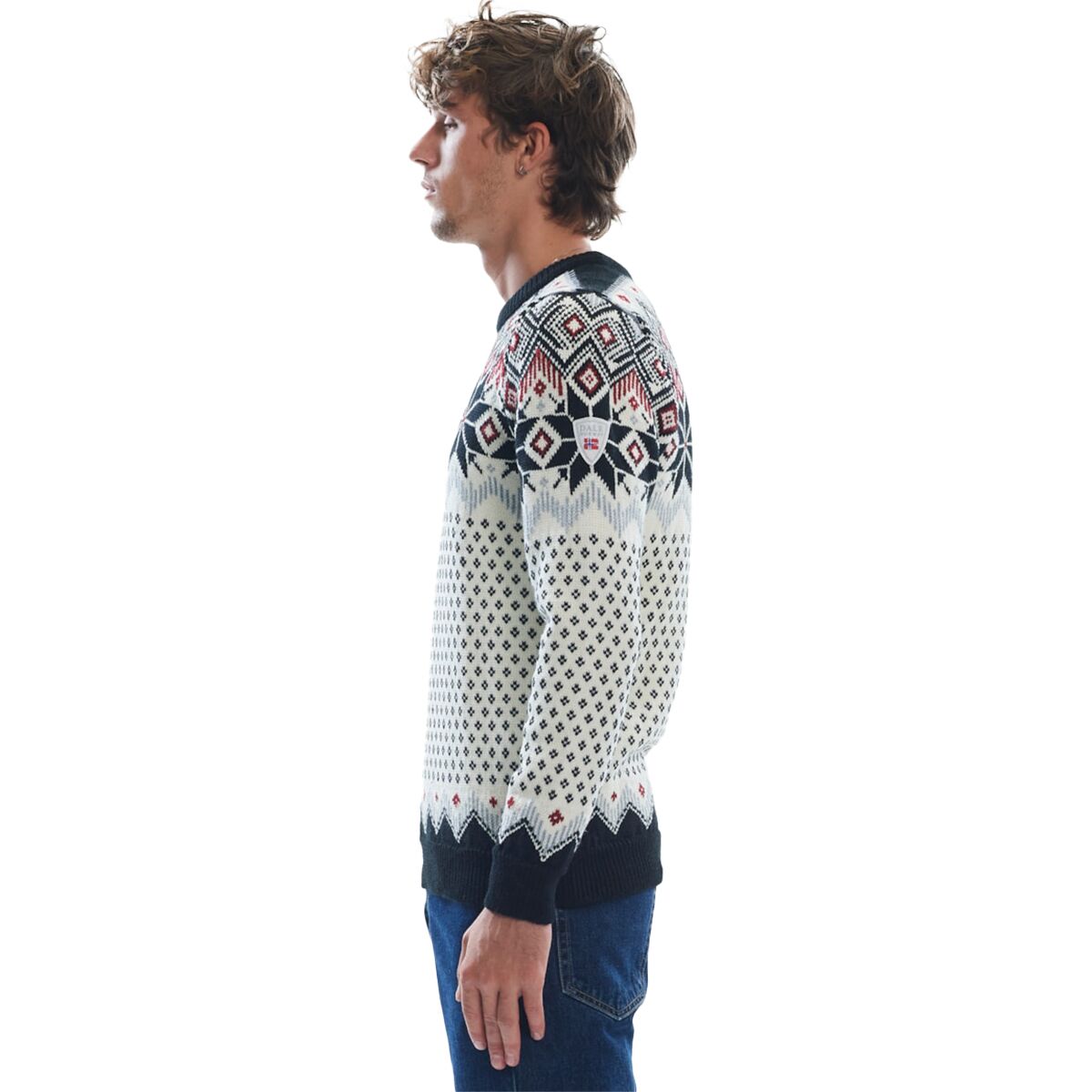 Dale of Norway Vegard Sweater - Men's - Men