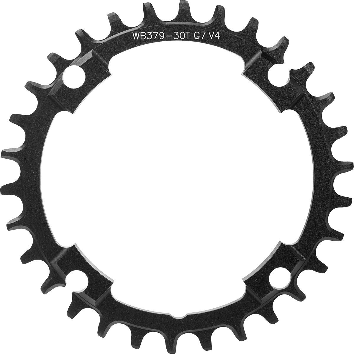 FSA Megatooth Chainring - Bike