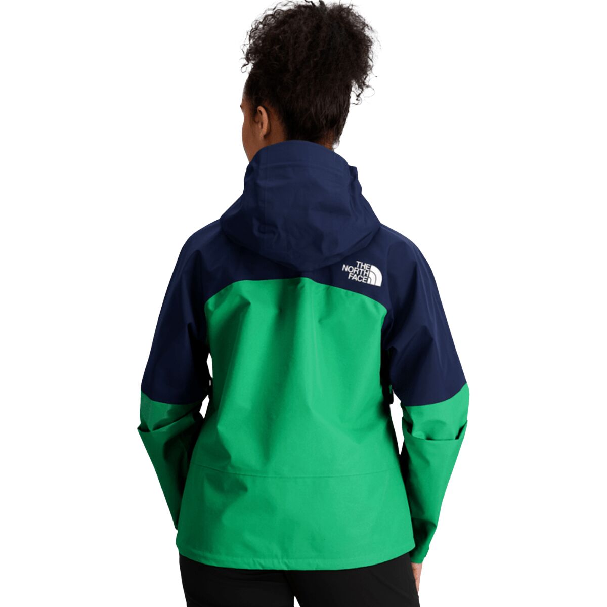 The North Face Devils Brook GORE-TEX Jacket - Women's - Women