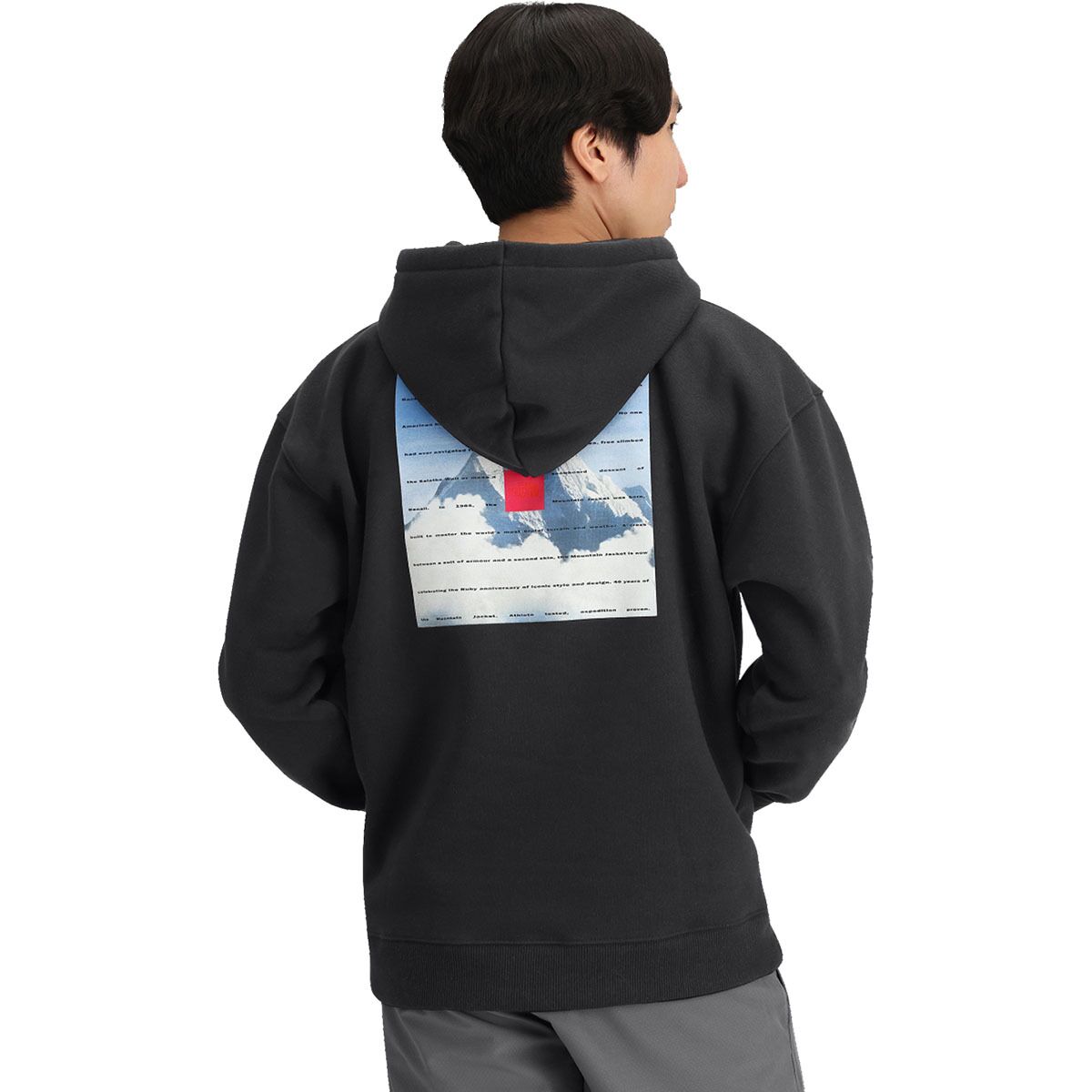 The North Face 40th Anniversary Mountain Heavyweight Graphic Hoodie ...