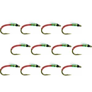 Umpqua Jujubee Midge Flash 12-Pack - Fly Fishing